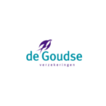 De Goede Financieel Specialist B.V. | Heerenveen & Wolvega
